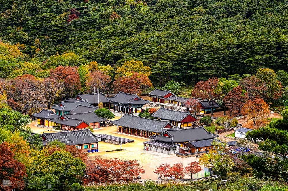 (Khám phá Hàn Quốc) Leo núi trên đỉnh Naeyeon vào một ngày mùa thu ...